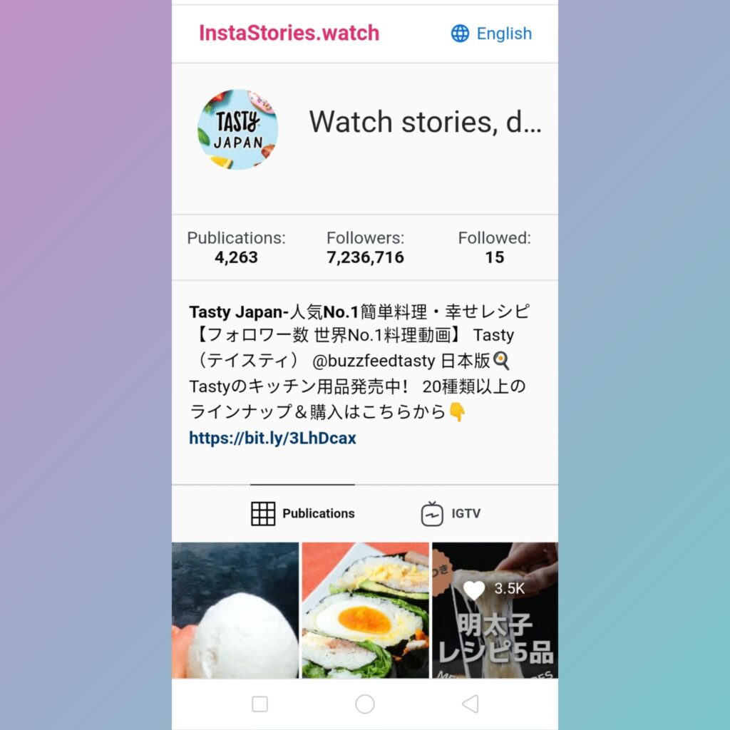 How to View Instagram Stories, Highlights, Posts, Reels Anonymously ...